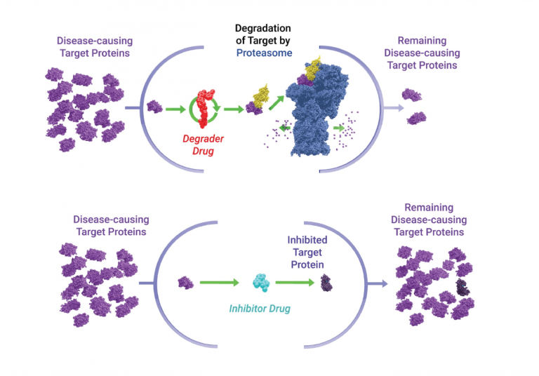 Targeted Protein Degradation – C4 Therapeutics